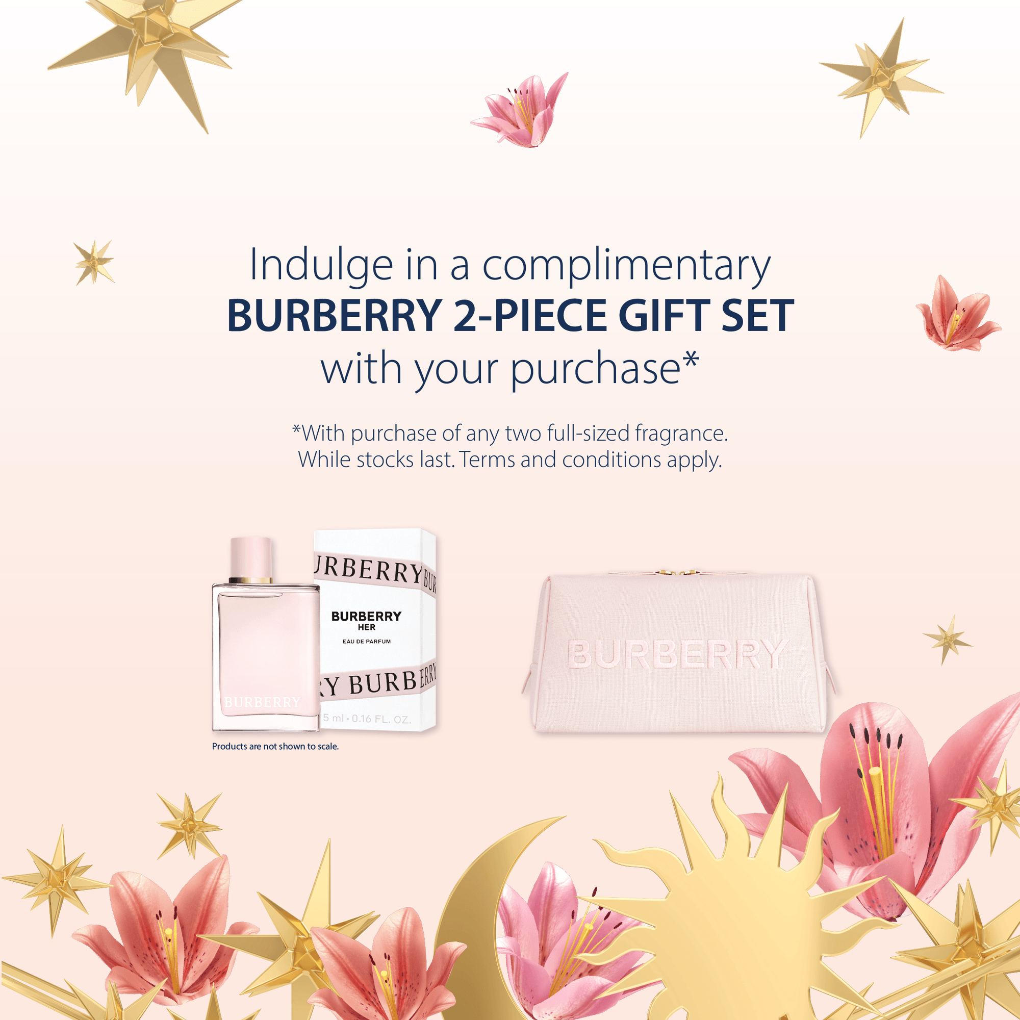 COTY - MHA - A Spring Sunrise