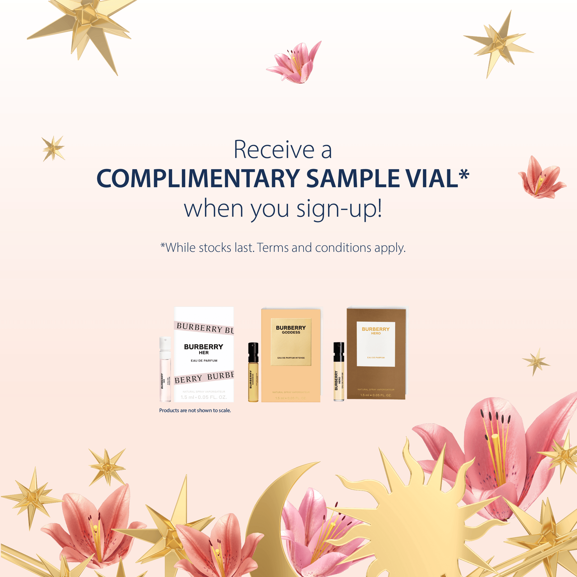 COTY - MHA - A Spring Sunrise